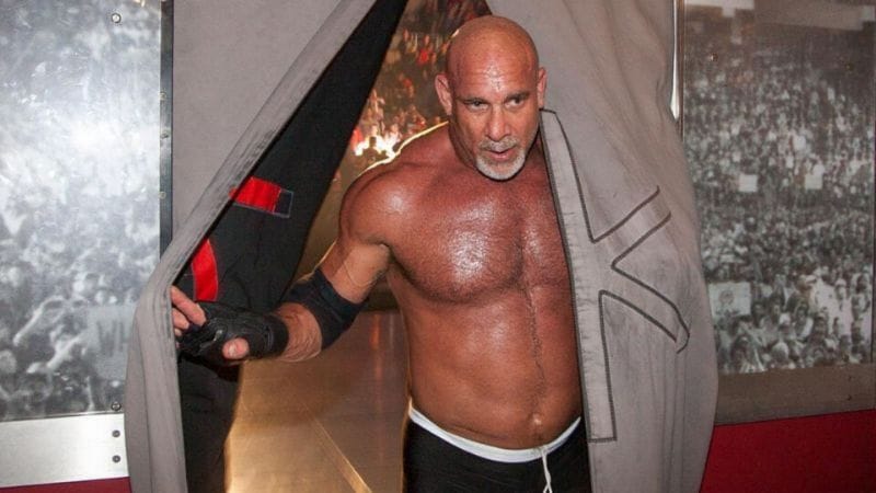 Former WWE personality on Goldberg still wrestling